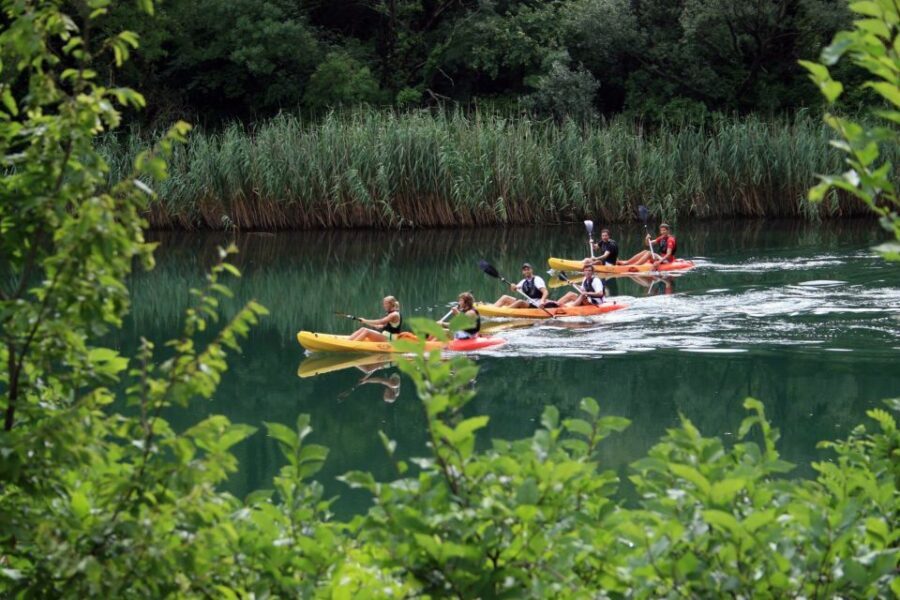 Omi: Kayaking and Snorkeling Tour