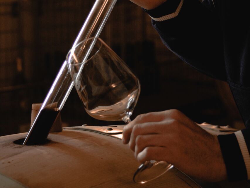 Organic Winery Visit & Wine Tasting with Food in Pavia