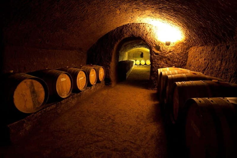Orvieto: Tour and wine tasting at Tenuta Le Velette