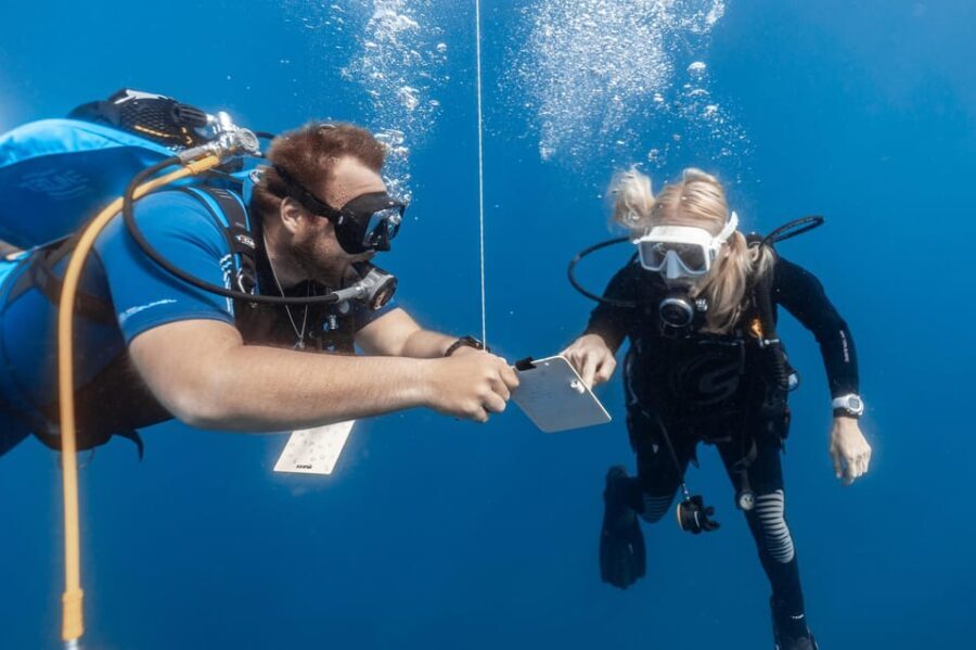 PADI Open Water Diving Course Tenerife - The Sum Up: Why This Course Makes Sense
