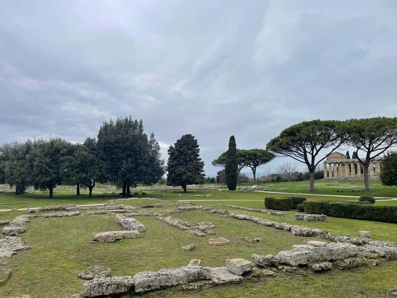 Paestum for cruise passengers