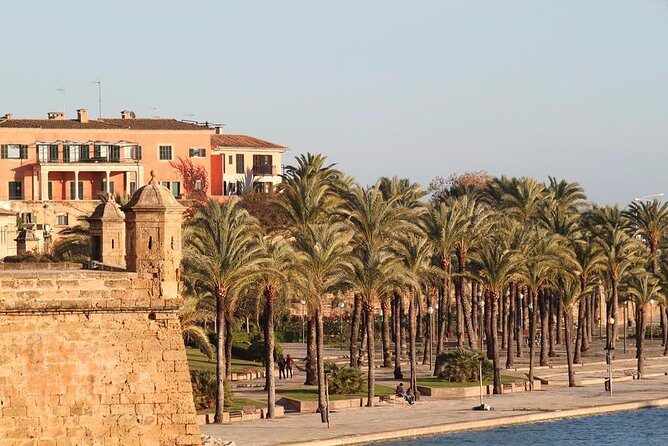 Palma de Mallorca Private Walking Tour with tour guide - The Experience: What Travelers Can Expect