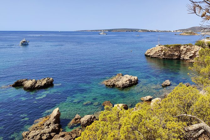 Palma de Mallorca: Small Group Tour by Locals in Hidden Coves - Exploring Mallorca’s Secret Coastal Gems: A Practical Look at the Small Group Tour by Locals