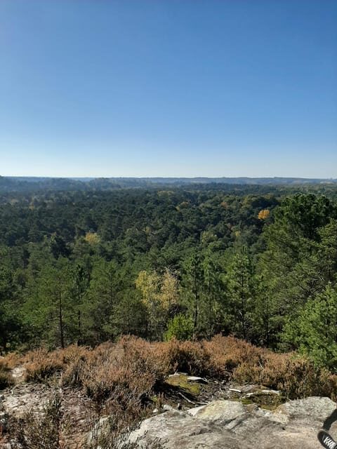 Paris VIP: Versailles & Fontainebleau Chauffeur Driven 8hrs - Final Thoughts