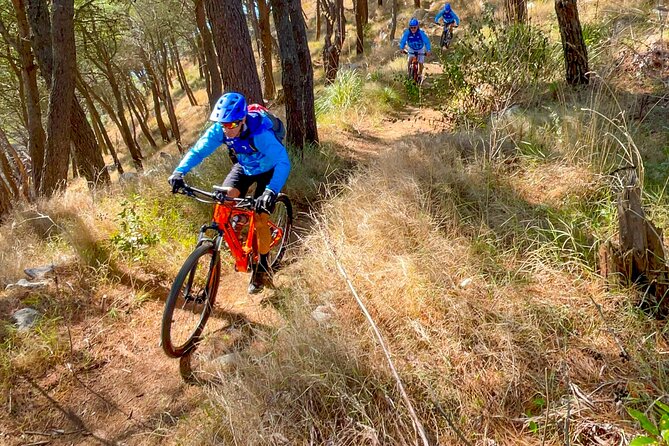 Pedals & Flavours: Sorrento oil and lemon tour - Starting Point: Piazza Andrea Veniero