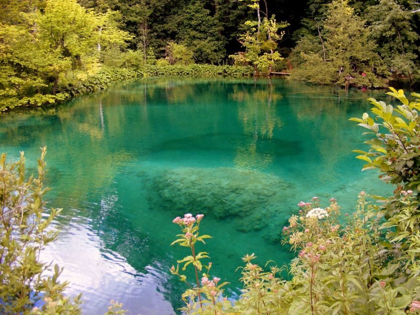 Plitvice Lakes National Park: Private Tour from Zadar