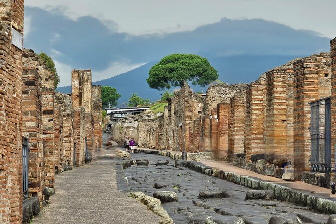 Pompeii Private Guided Tour from Naples - Key Points