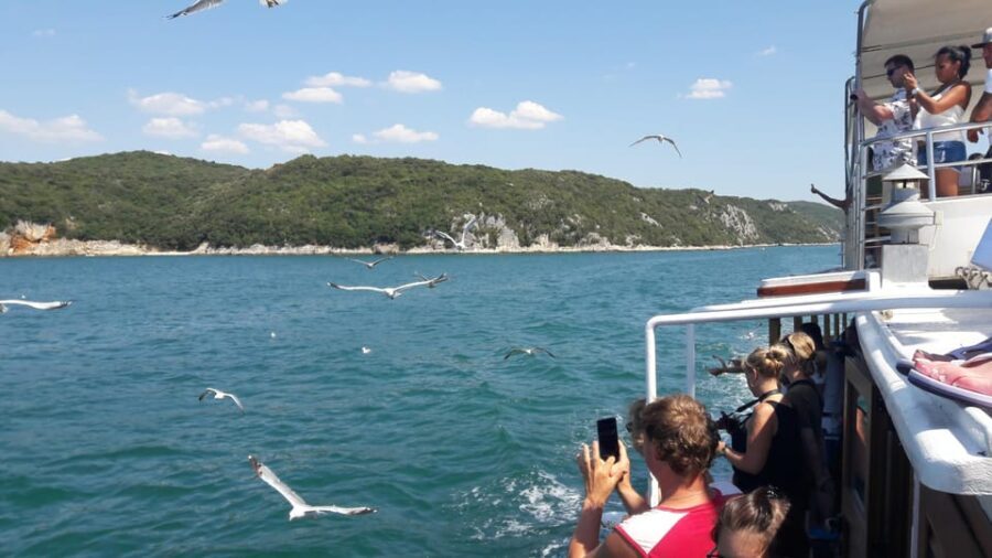 Pore: Boat tour to Rovinj with lunch and drinks