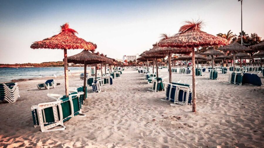 Port d'Alcudia: Meet the Magical Creatures,family game &walk