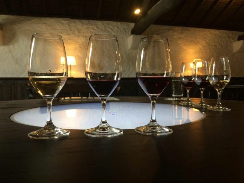 Porto: Private Guided Wine-Tasting Tour - Who Should Consider This Tour?