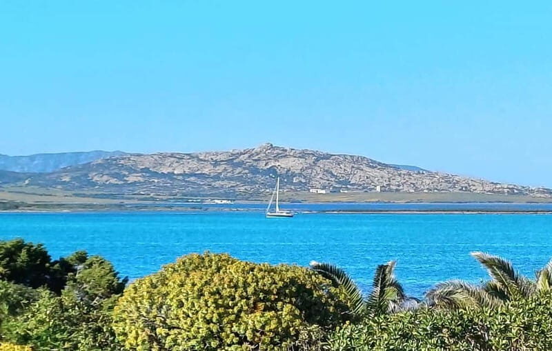 Porto Torres & Stintino: Romantic Experience Sail at Sunrise