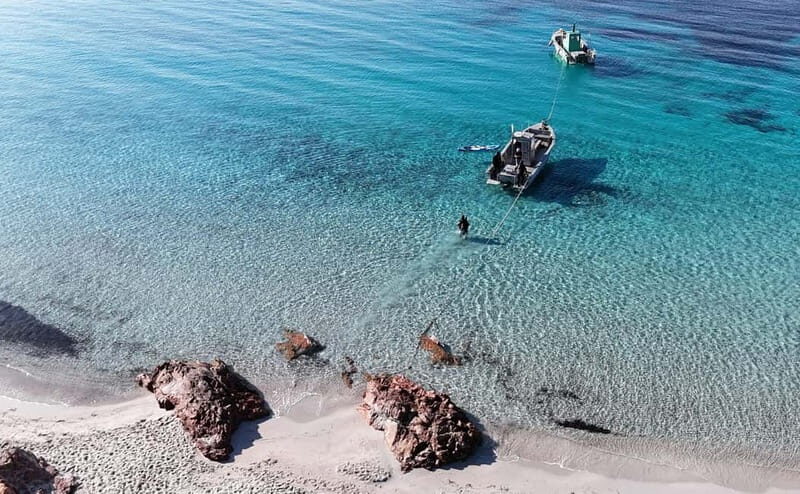 Porto-Vecchio: beginner diving in the Cerbicale Islands in the reserve