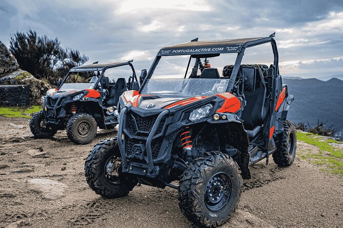 Premium Buggy Experience in Ponte de Lima - Key Points