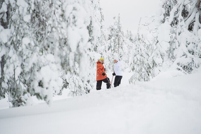 Premium Snowshoeing in Pyhä-Luosto National Park