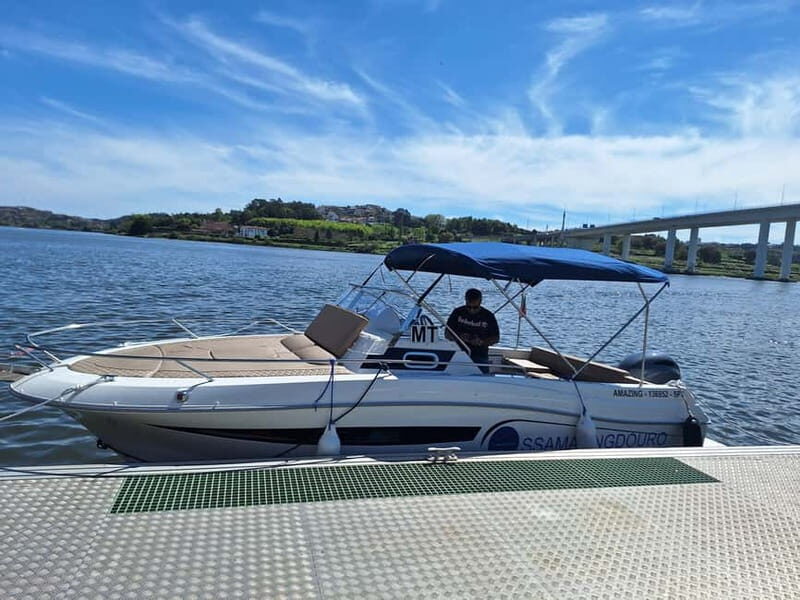 Private 6 Bridges Cruise in Porto with Optional Sunset