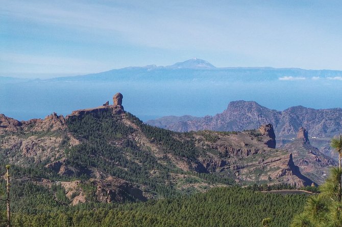 Private 8-hour Tour of North and Eastern Tour of Gran Canaria w/ Hotel pick-up - FAQ
