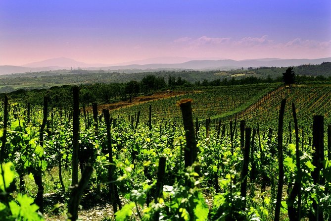 Private 8h Tour to winery in Franciacorta and Bergamo from Milan - Key Points