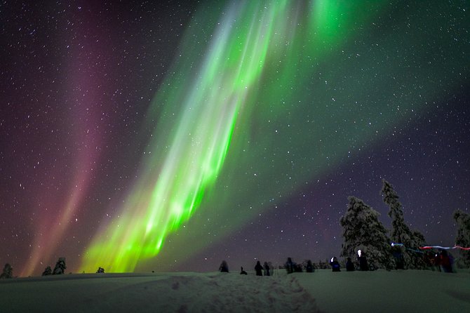 Private Aurora Tour (5 or more) by Aurora Experts - Rovaniemi - Key Points