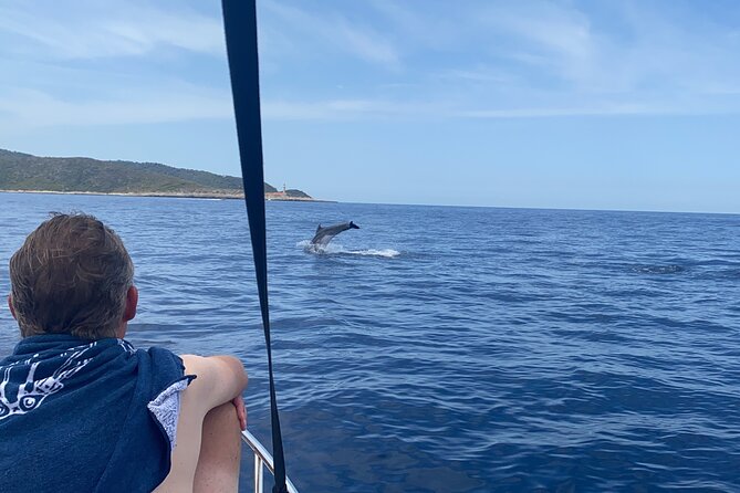 Private boat trip - Hvar Brac and Pakleni islands from Split - What is the Experience Like?