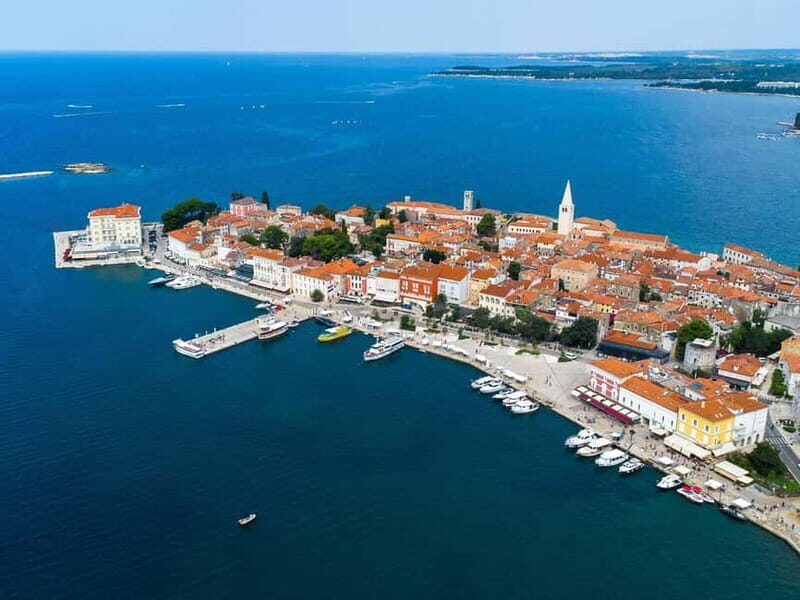 Private boat trips in Porec: Dolphin watching at sunset