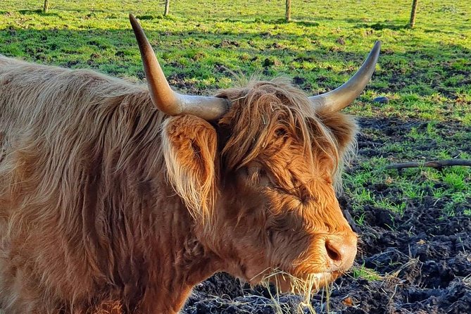 Private Central Highlands Driving Tour - Key Points