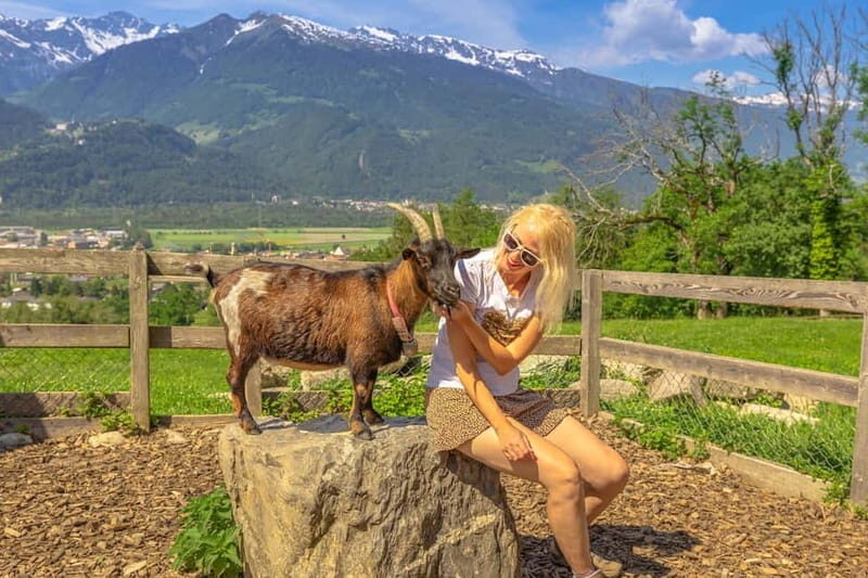 Private day trip from Zurich to Heidiland and Vaduz - Detailed Breakdown of the Itinerary