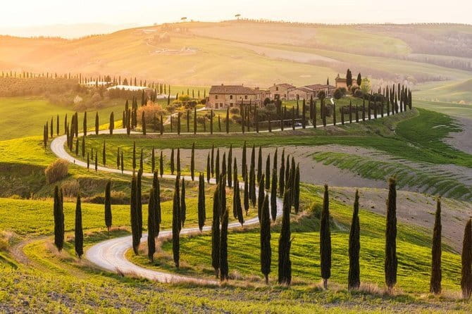 Private Day Trip Tuscany Landscape and Wine Tasting from Florence - A Closer Look at the Itinerary and Experience