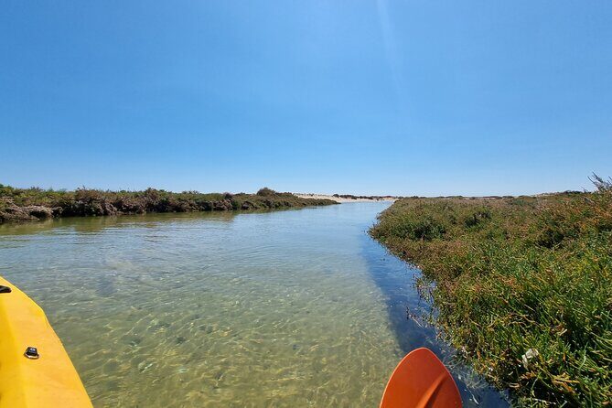 Private Guided kayak Tour/Birdwatching/Nature Tour.