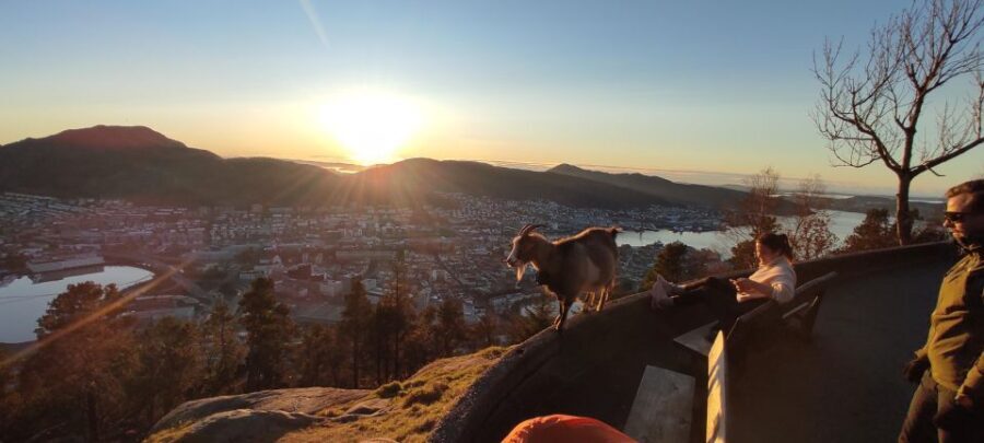 Private hiking tour Bergen mountains like a local