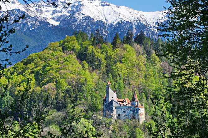 Private Movie Castles at Peles, Cantacuzino and Bran Castle Tour - An In-Depth Look at the Itinerary