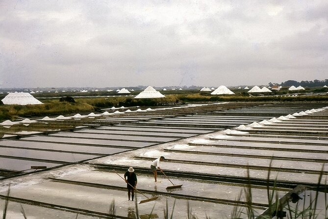 Private Tour: from Lisbon to Porto; visit to Óbidos, Fátima, Coimbra, Aveiro - An In-Depth Breakdown of the Itinerary