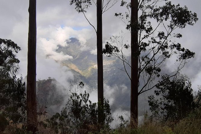 Private Tour Jardim da Serra Halfday - An Honest Look at the Private Jardim da Serra Half-Day Tour