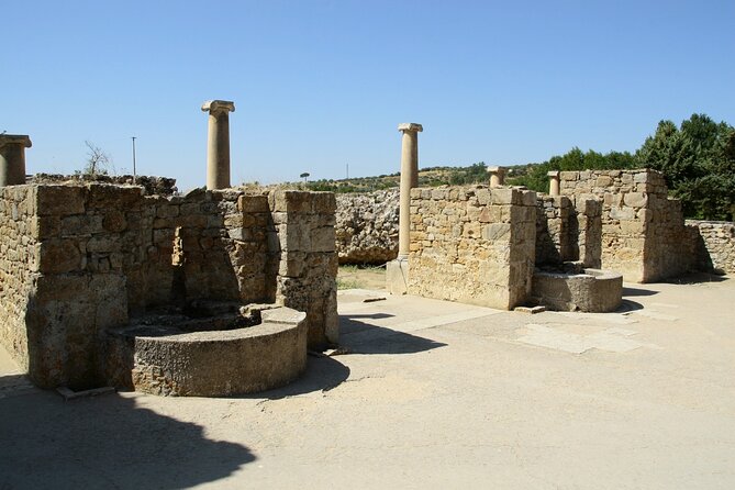 Private Tour Roman Villa of Casale - Morgantina, Aidone's Museum - Practical Aspects and Value