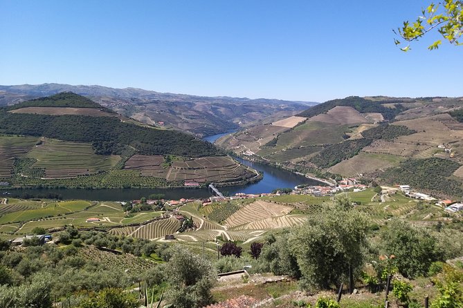 Private Tour to stunning Douro Valley and most renowned wineries - Exploring the Douro Valley: A Private Wine Tour from Porto