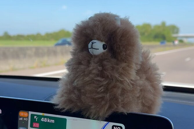 Private Transfer Paris from and to Airport (CDG, Orly, Beauvais) - A Practical, Comfortable Way to Navigate Paris Airports