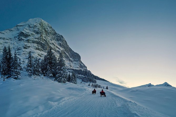 Private trip from Zurich to Jungfraujoch (The Top of Europe) - The Sum Up