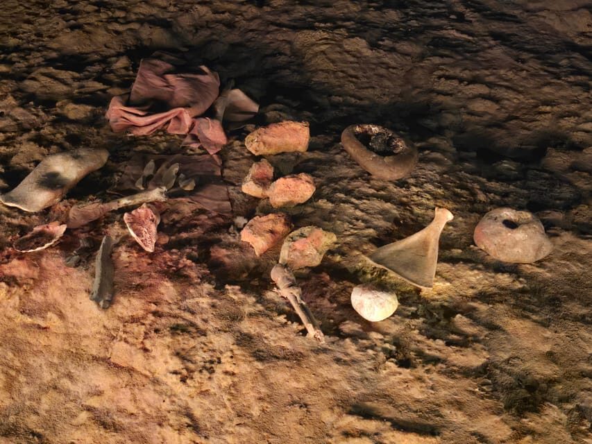Private visit Altamira Museum and Neocave: the fascination of prehistory