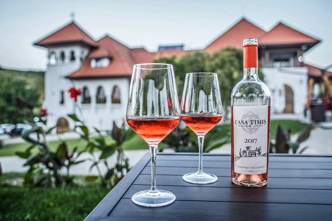 Private Wine Tasting in Cellar and the Winemaking process - Key Points