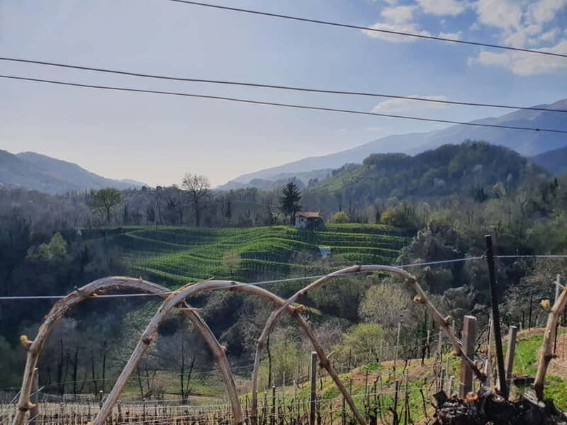 Prosecco Hills Conegliano Valdobbiadene Wine Tour