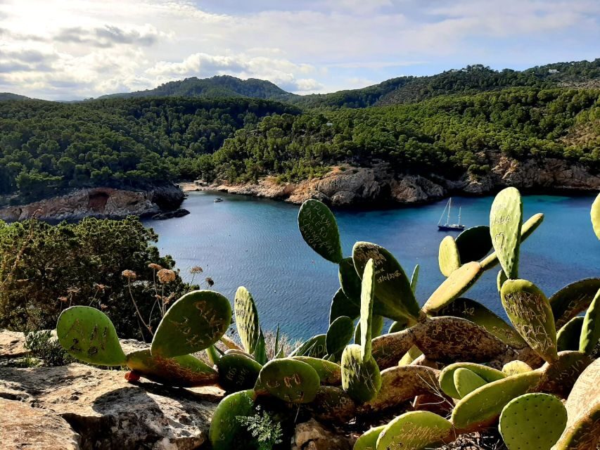 Puerto de San Miguel: Can Marçá Cave Guided Tour with Entry - Exploring the Itinerary