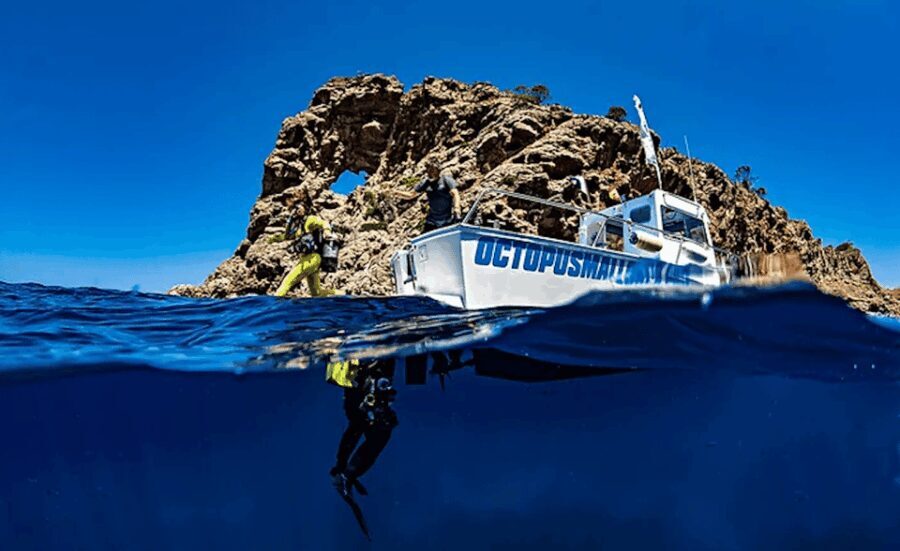 Puerto de Soller: Train and Guided Scuba Diving Experience