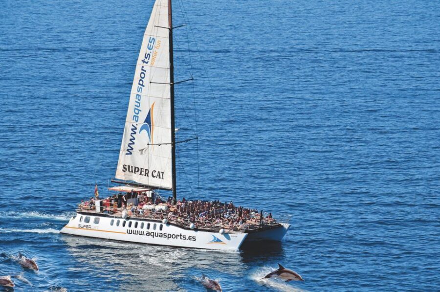 Puerto Rico : 2 hour Dolphin Catamaran Excursion