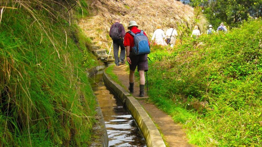 Referta / Castelejo - Levada Walk - A Closer Look at the Itinerary