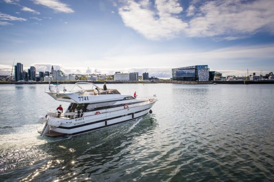 Reykjavík: New Year's Eve Northern Lights Yacht Cruise