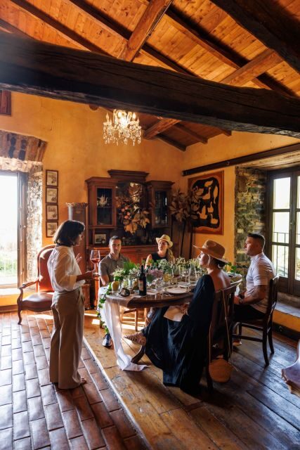 Rome: Private Countryside Wine Tasting Tour