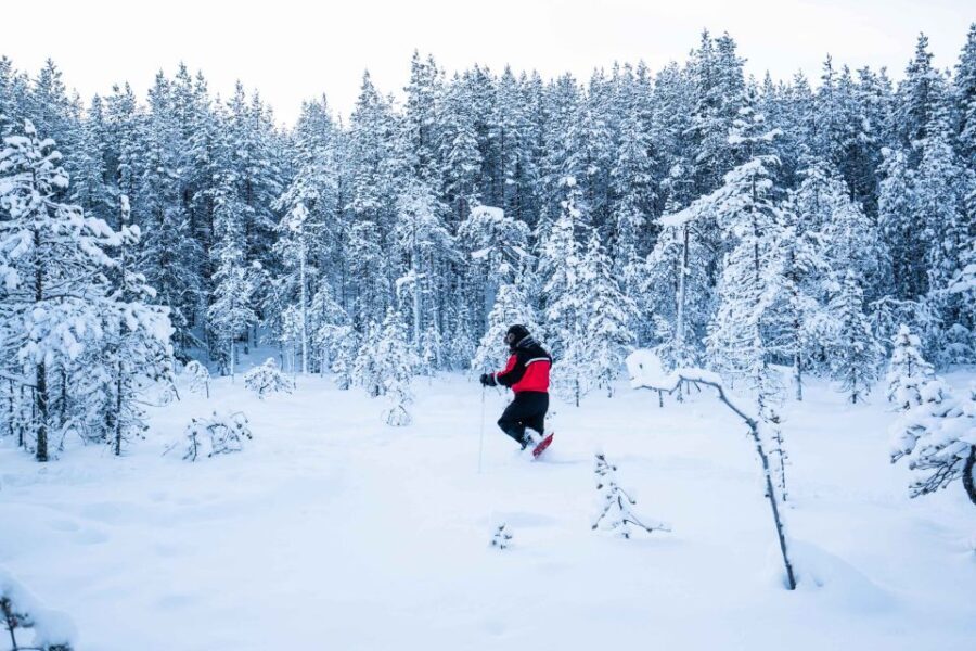 Rovaniemi: Snowshoe Wilderness Adventure - An In-Depth Look at What the Experience Offers