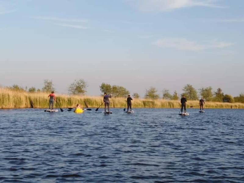 Rügen: Early Bird Standup Paddletour to Fishing Harbours - Why This Tour Is a Great Pick