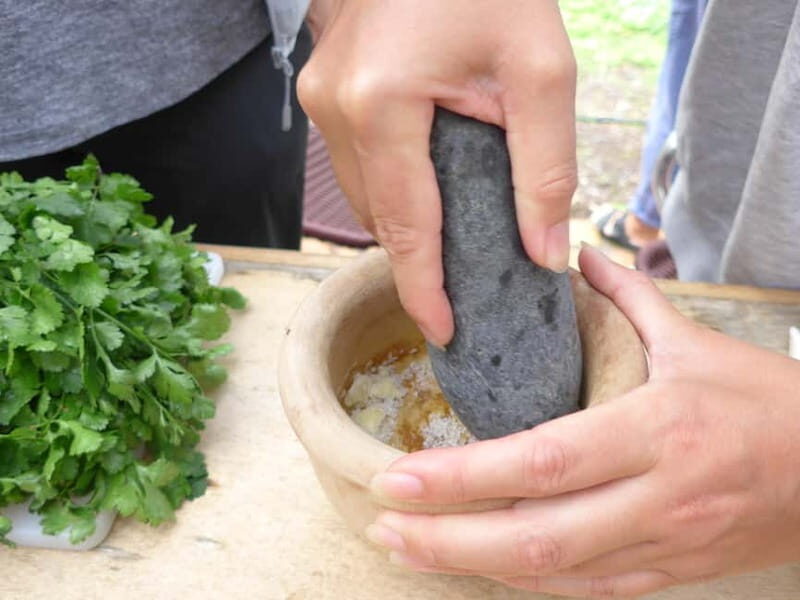 Rural Life Experience: Mojo Workshop and botanical Walk
