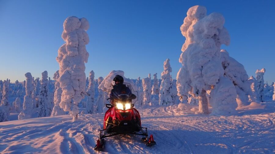 Saariselkä: Evening Snowmobile Tour with Fire & picnic