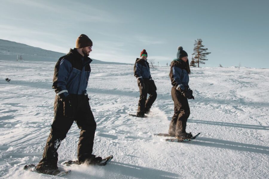 Saariselkä: Scenic Snowshoe Safari - Comfortable Gear and Warmth